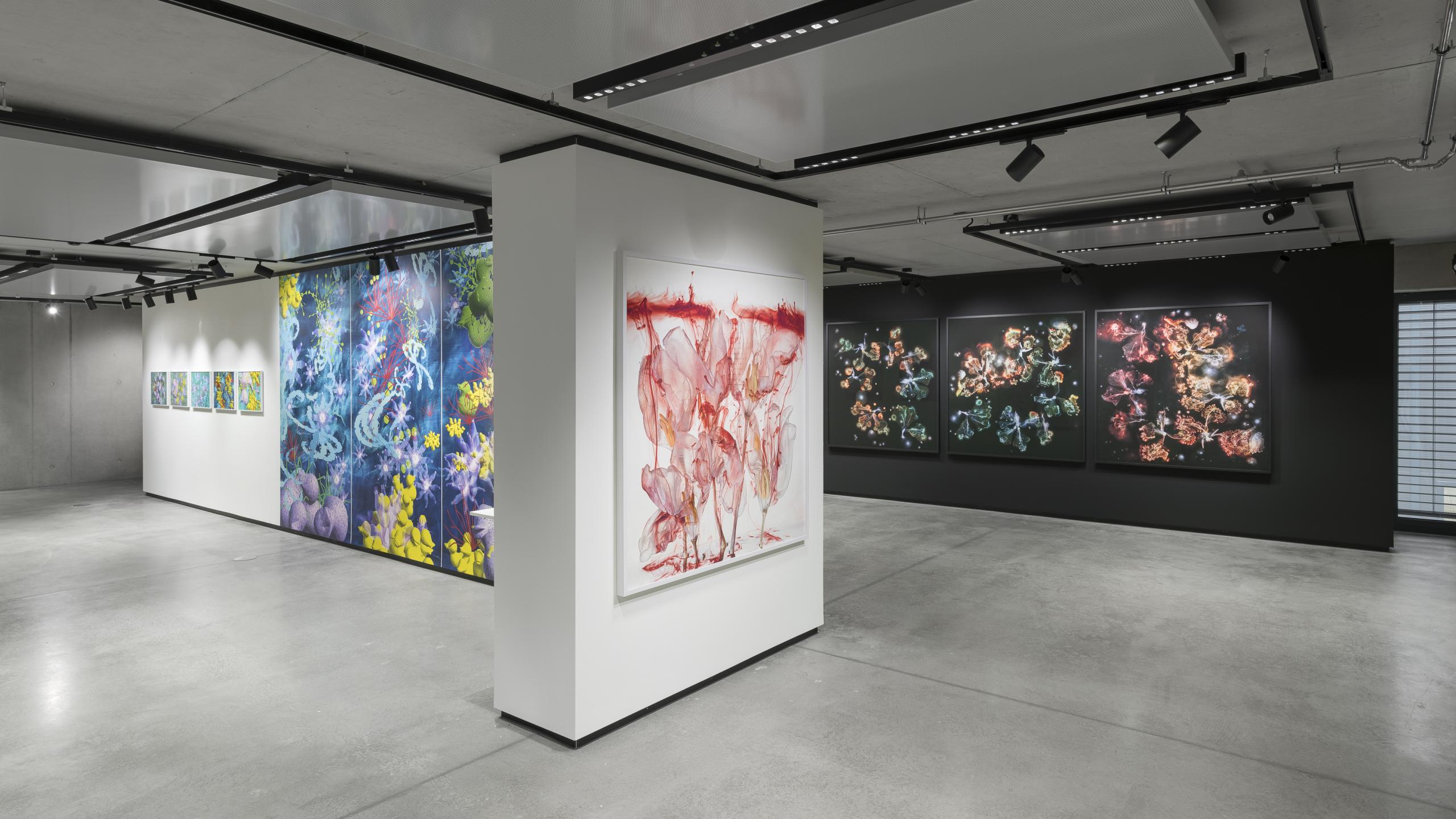 Bergson Gallery: Kunst im Bergson