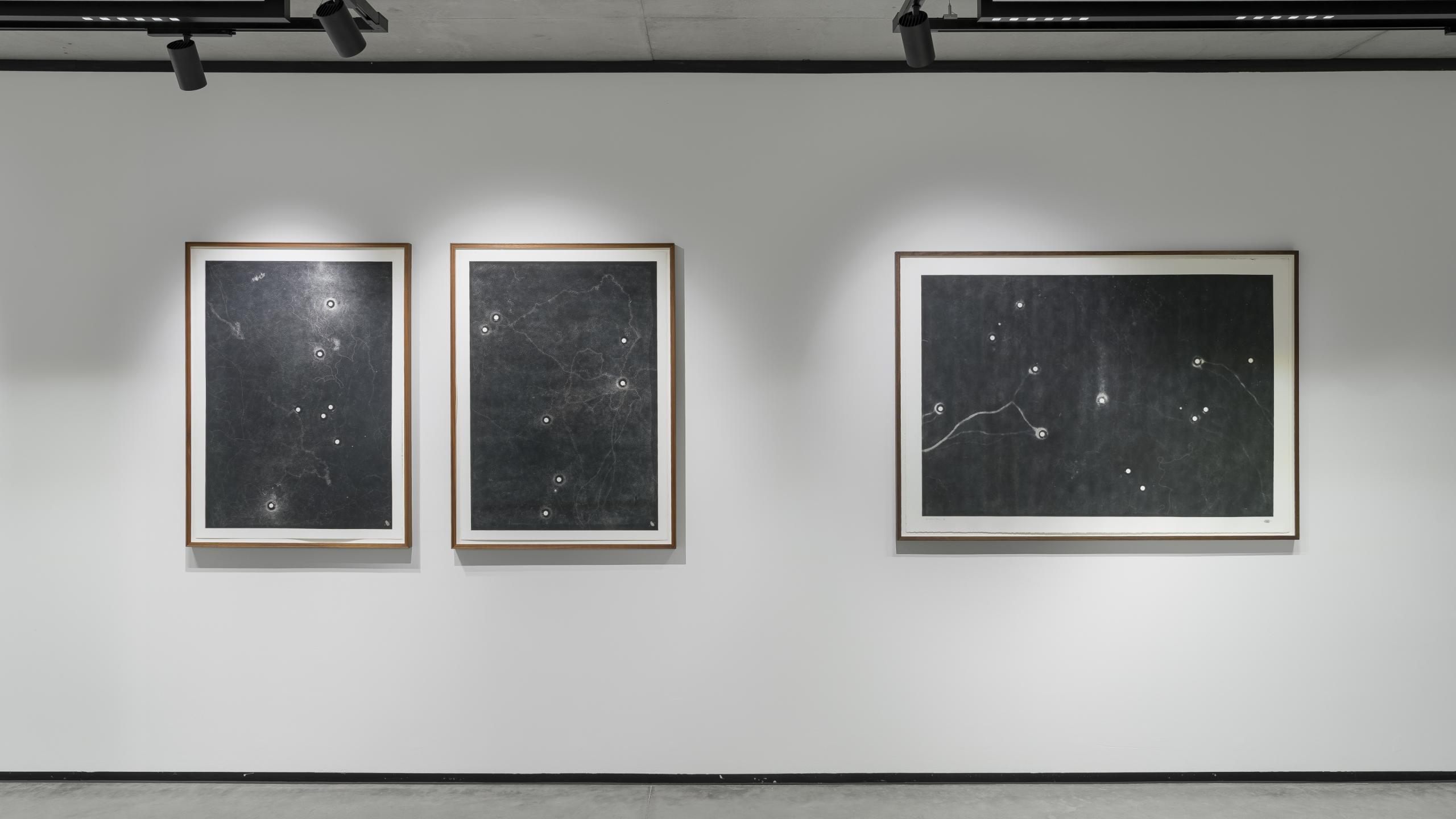 Bergson Gallery: Kunst im Bergson