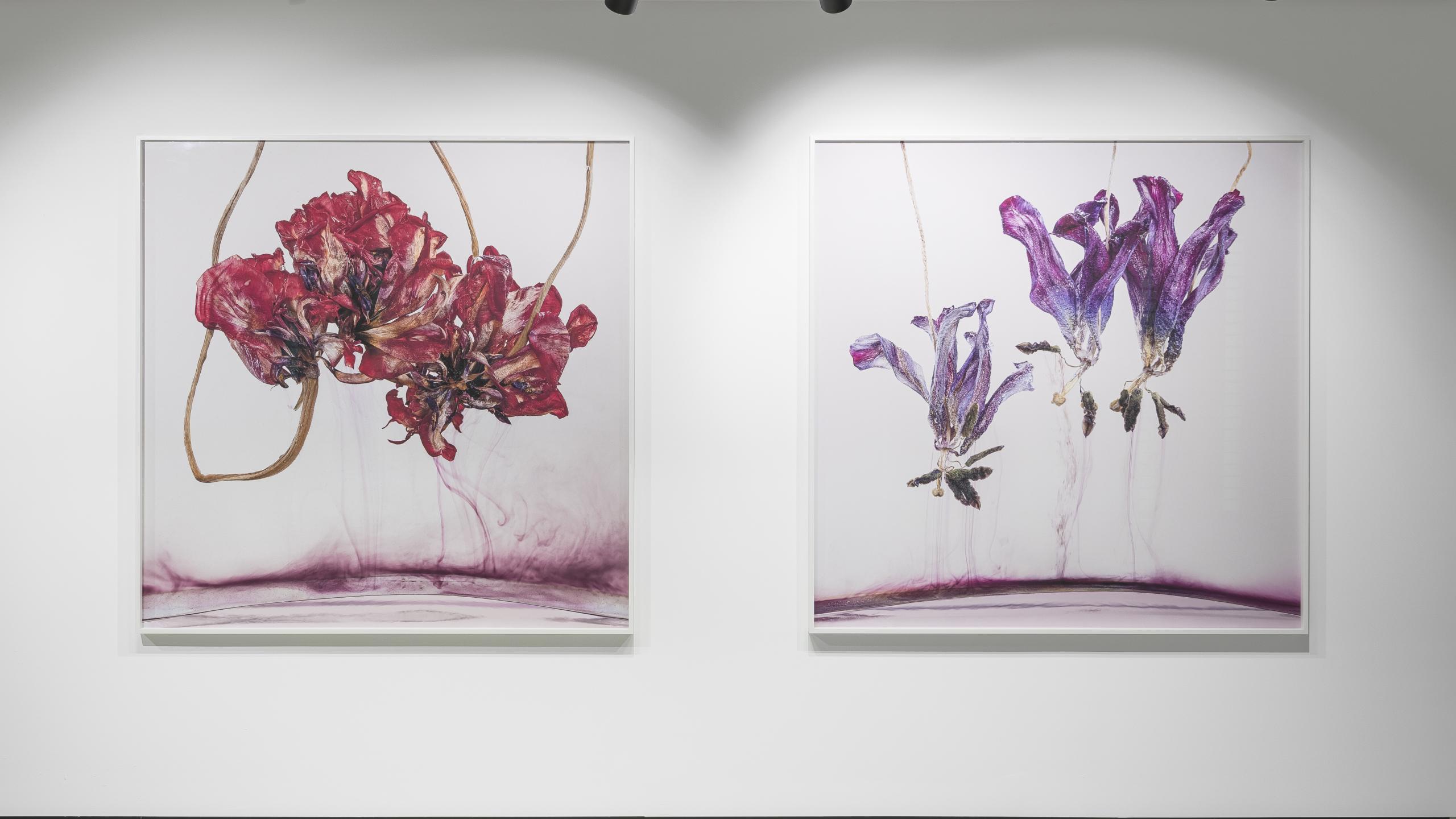 Bergson Gallery: Kunst im Bergson