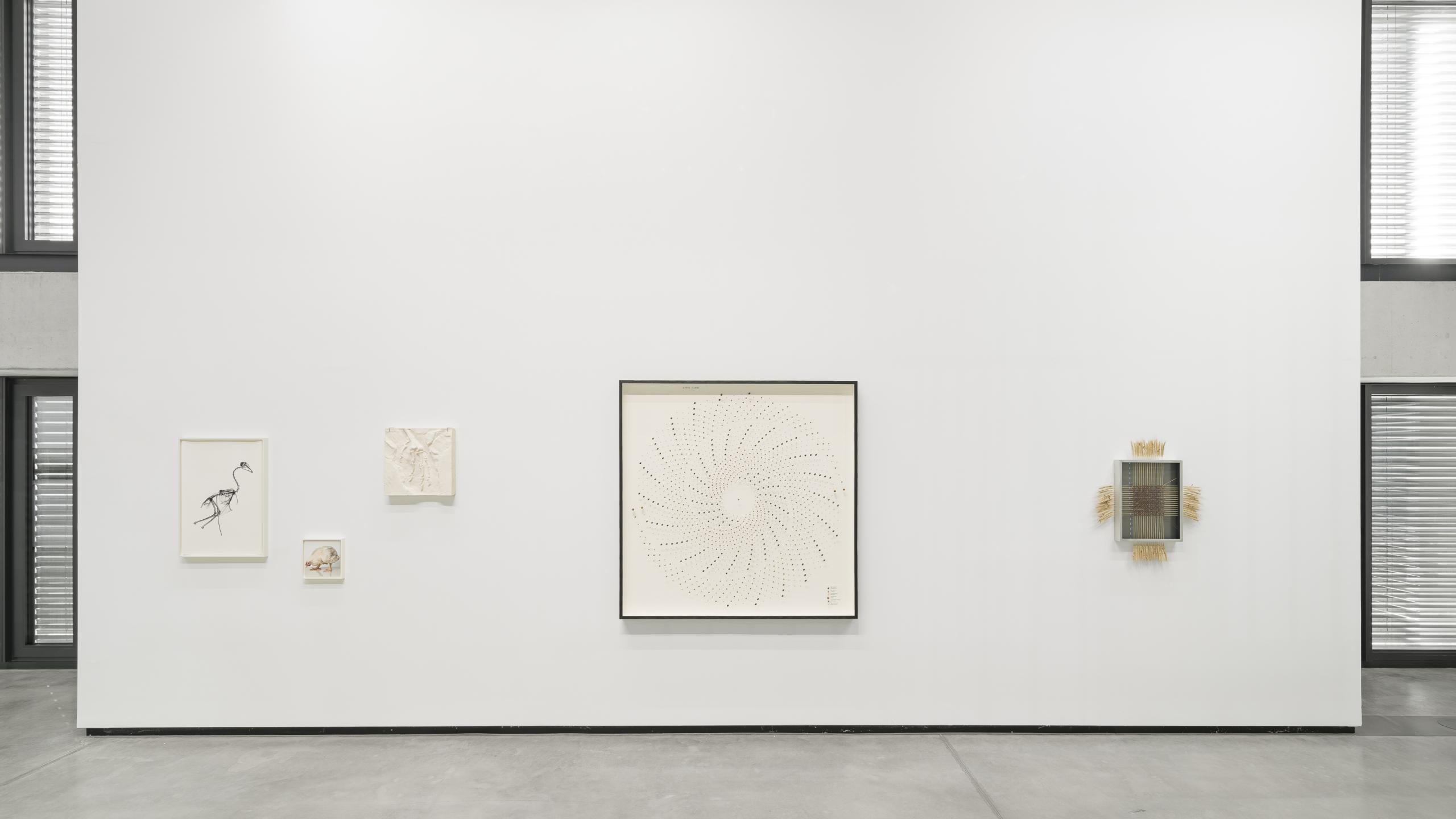 Bergson Gallery: Kunst im Bergson