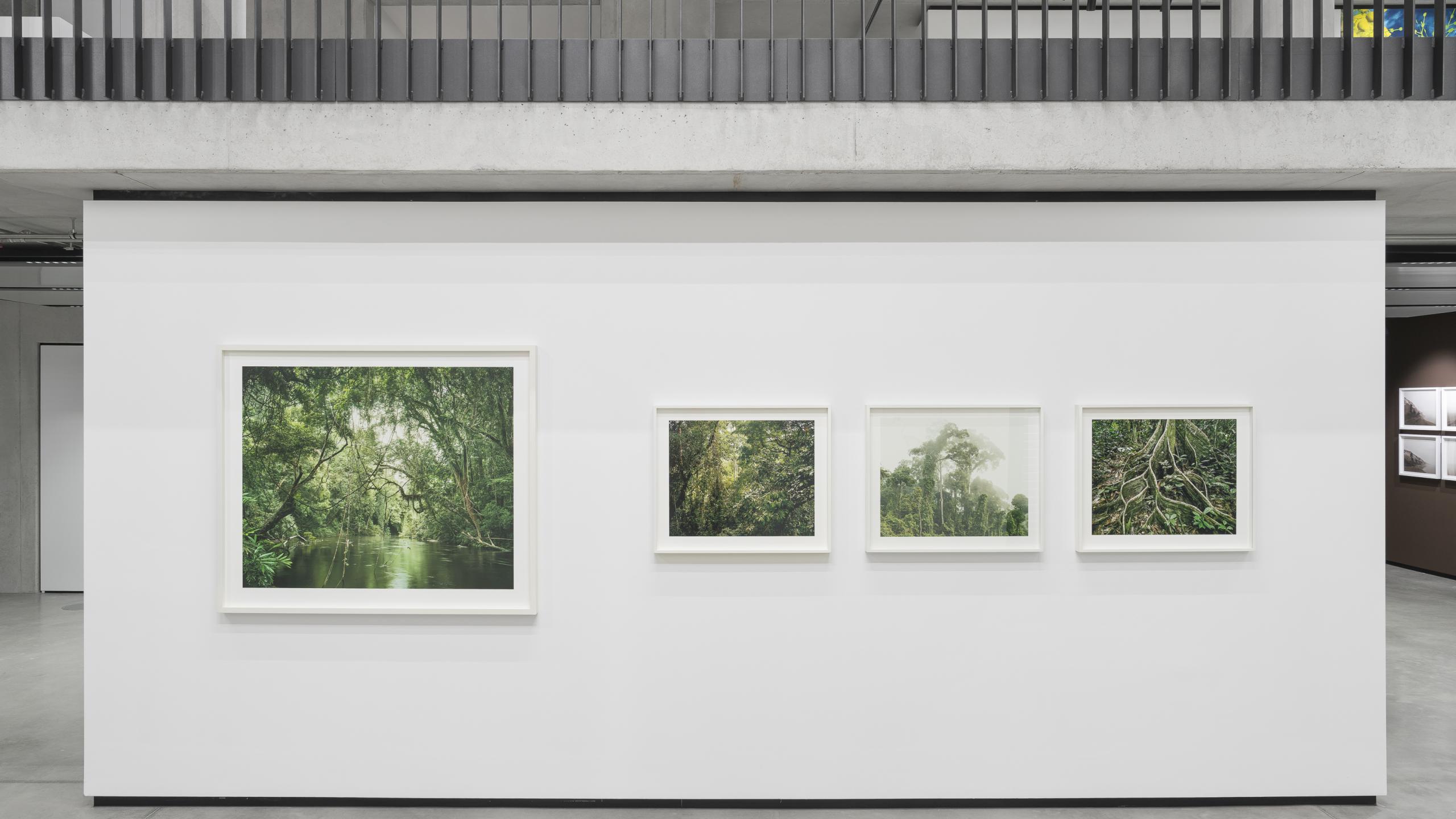 Bergson Gallery: Kunst im Bergson
