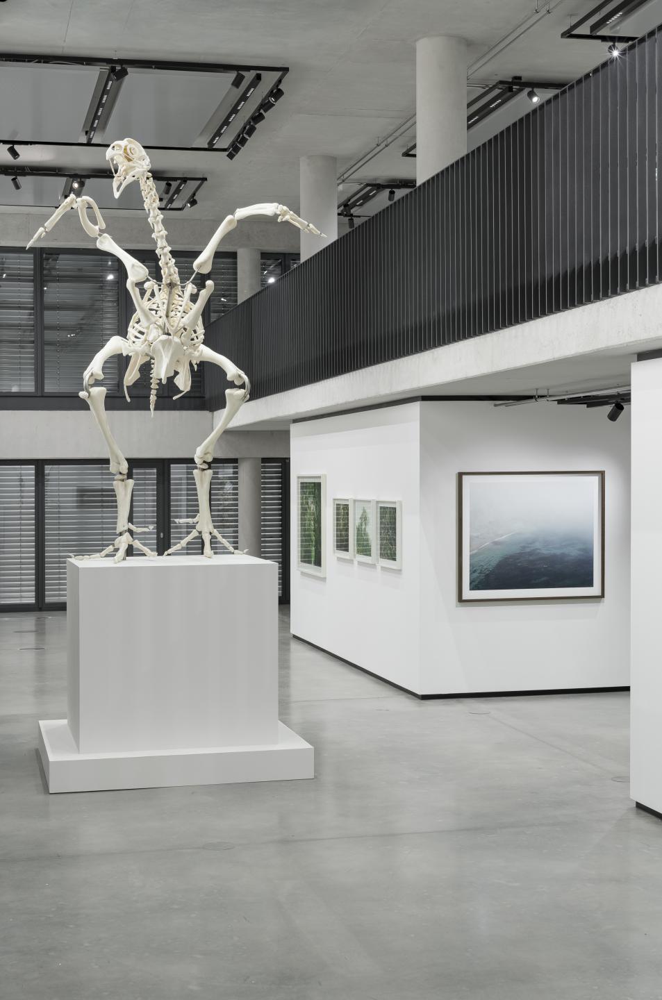 Bergson Gallery: Kunst im Bergson